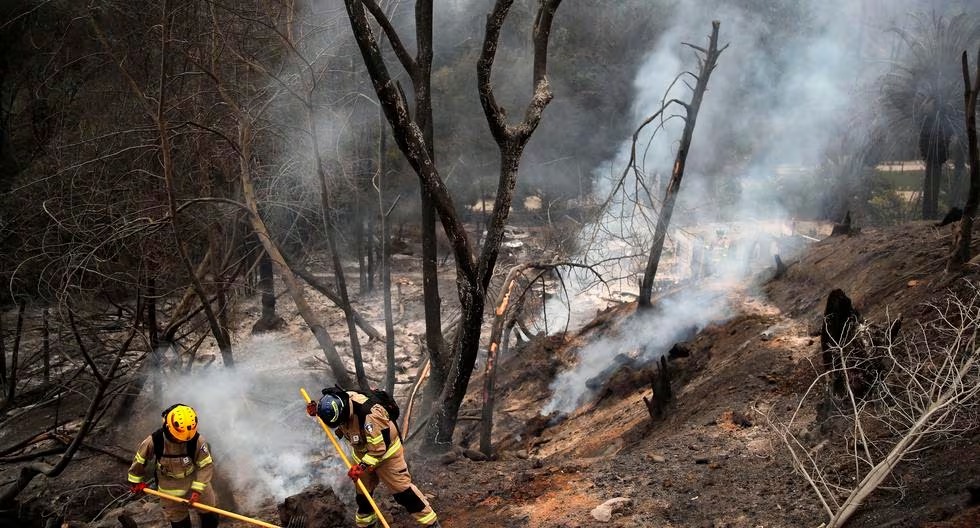 Chile: al menos 99 muertos dejan los incendios forestales más letales ...